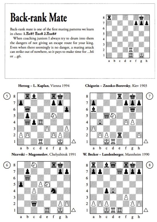Mating the Castled King: Book Review - Chessentials